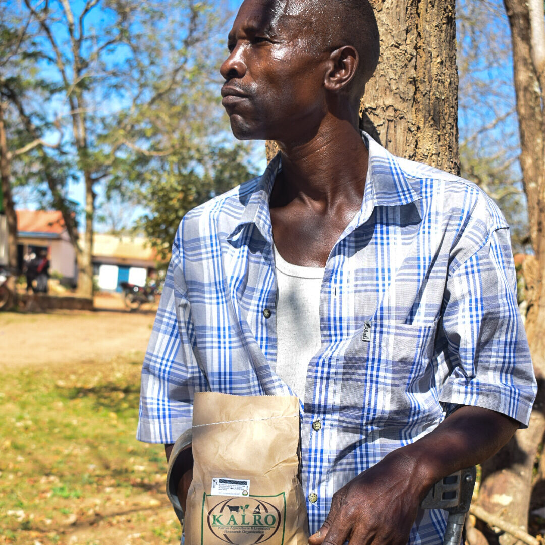 27,000 Farmers Benefit from Planting Seeds from Makueni County ...