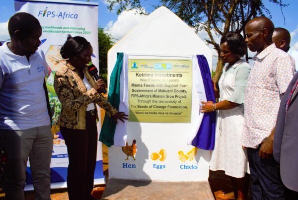 MARY MATHULI: MAKUENI CHICKEN QUEEN UNVEILS POULTRY FEED TO ENHANCE ...
