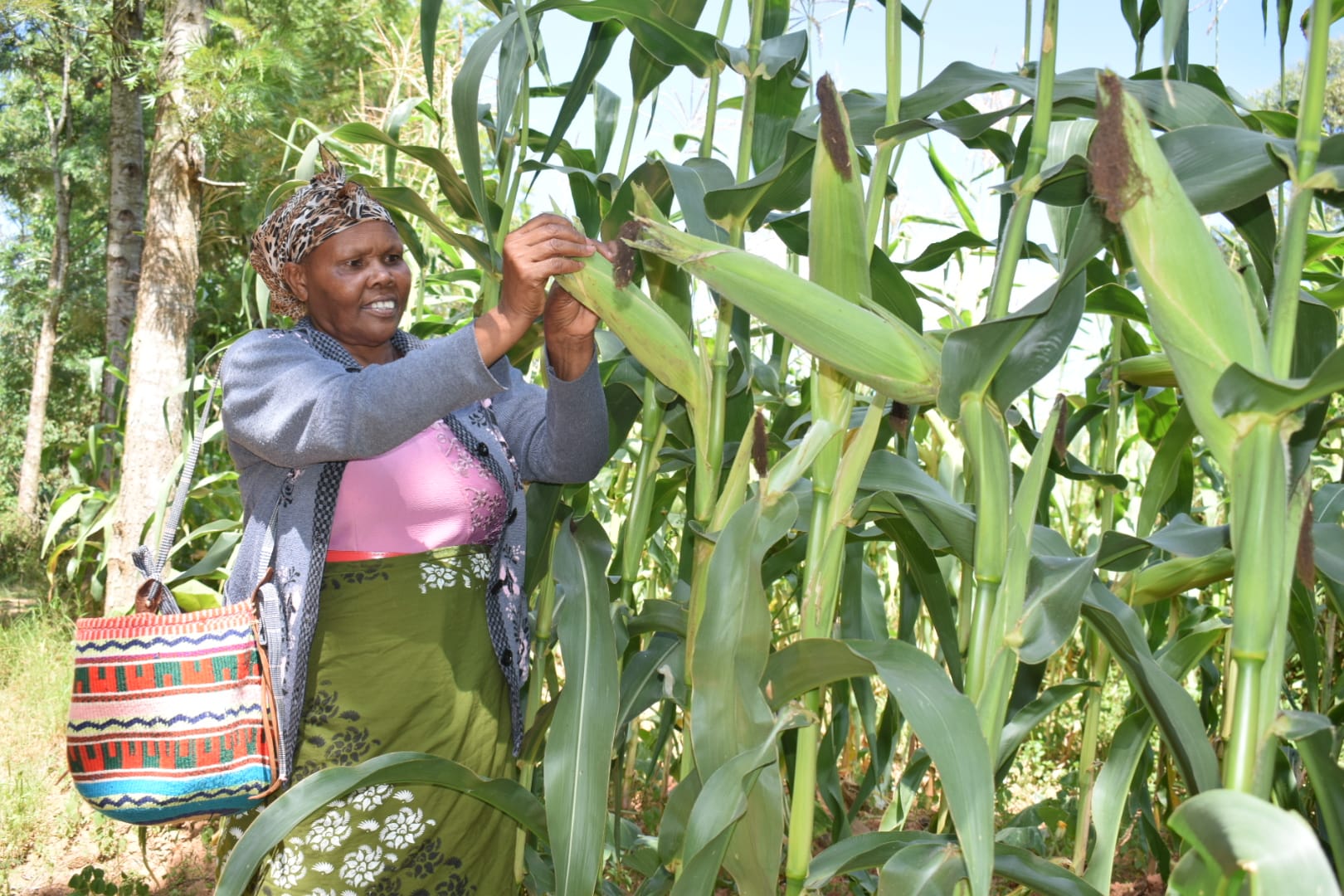 Agriculture - Government of Makueni County