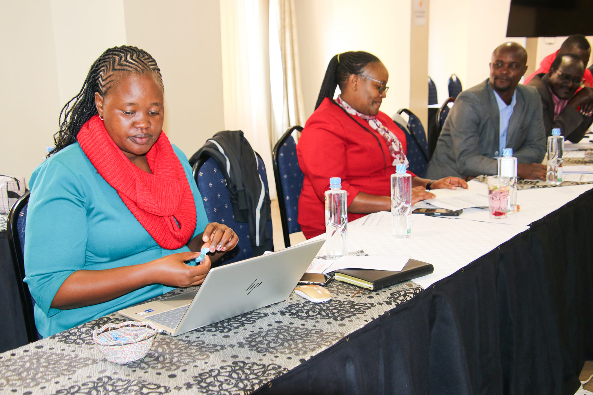 CLIMATE CHANGE STEERING COMMITTEE INDUCTED ON RESOURCE MOBILIZATION ...