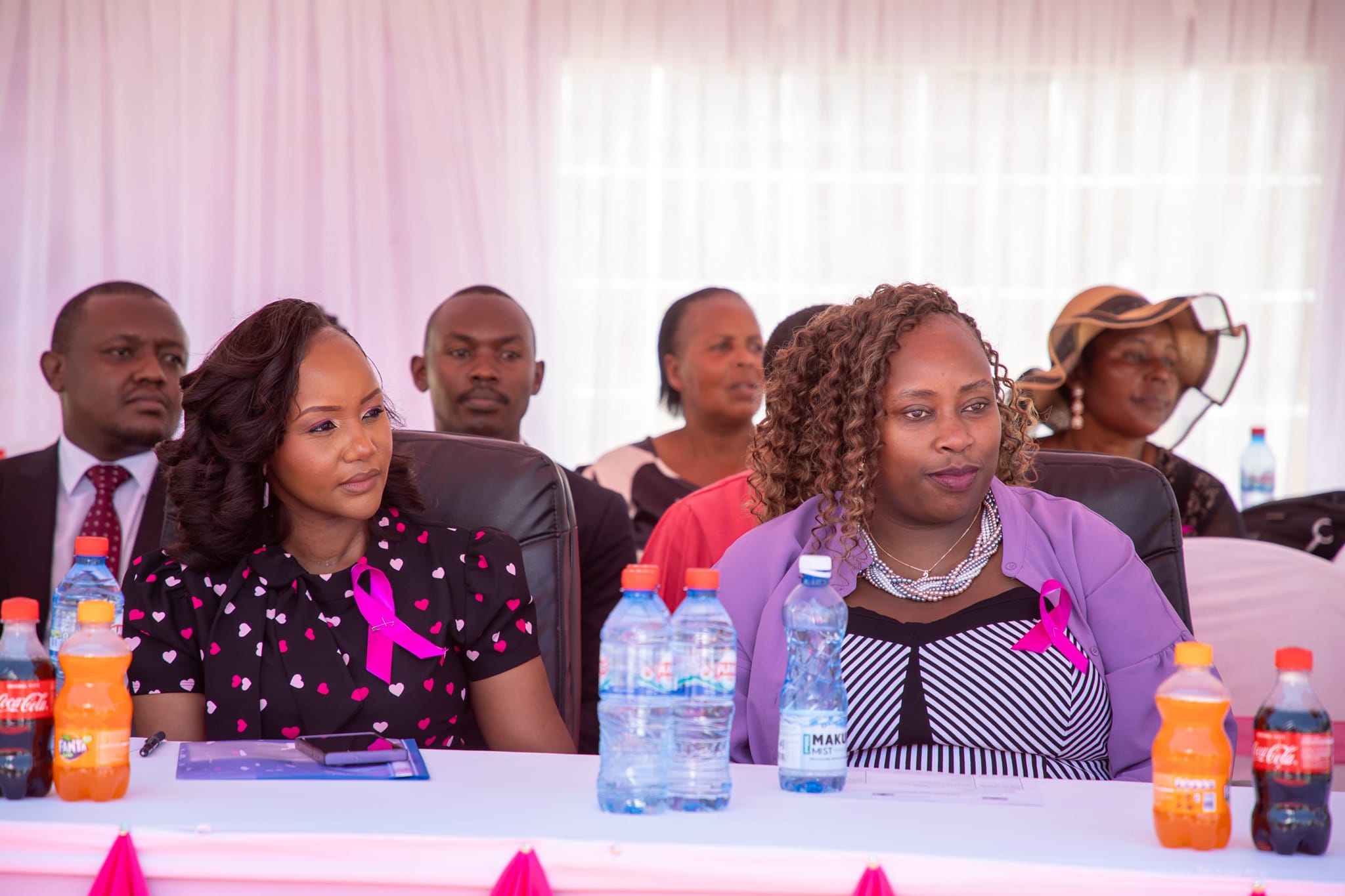 COUNTY FIRST LADY LAUNCHES BREAST AND CERVICAL CANCER SCREENING ...