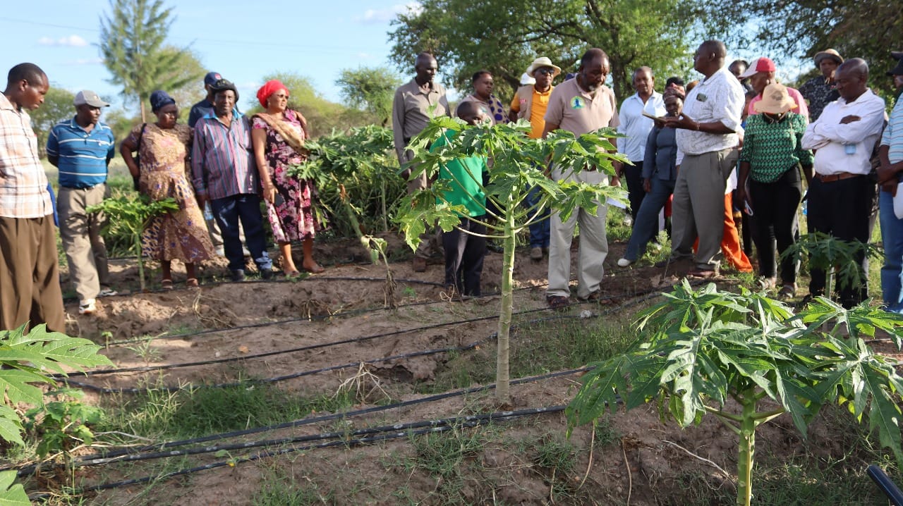 FARMERS BENCHMARK AT YATTA CHRISTIAN IMPACT MISSION FARM ON SUSTAINABLE ...