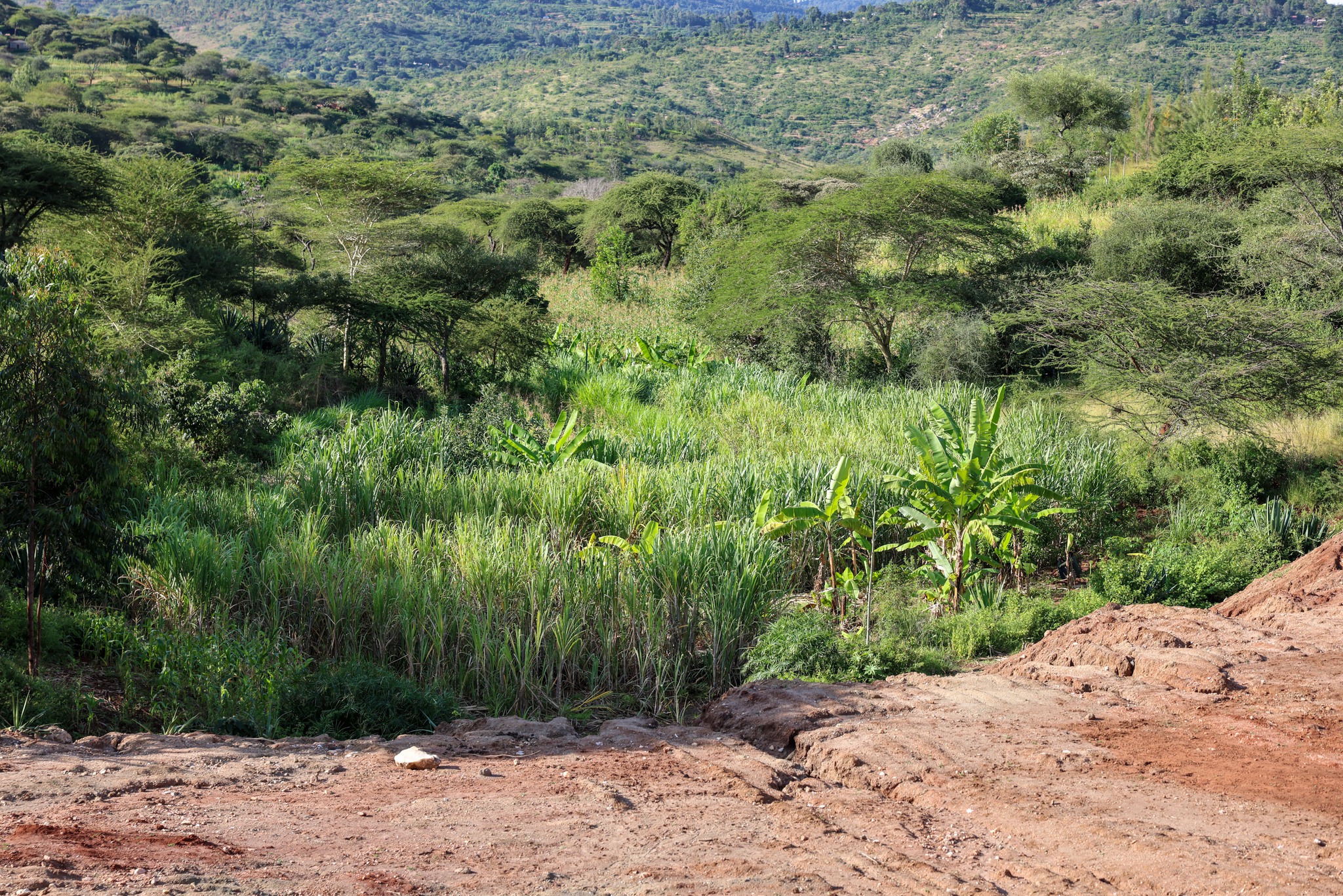 REHABILITATION OF KWA KAKUI EARTH DAM TRANSFORMS LIVELIHOODS IN MUKAA ...