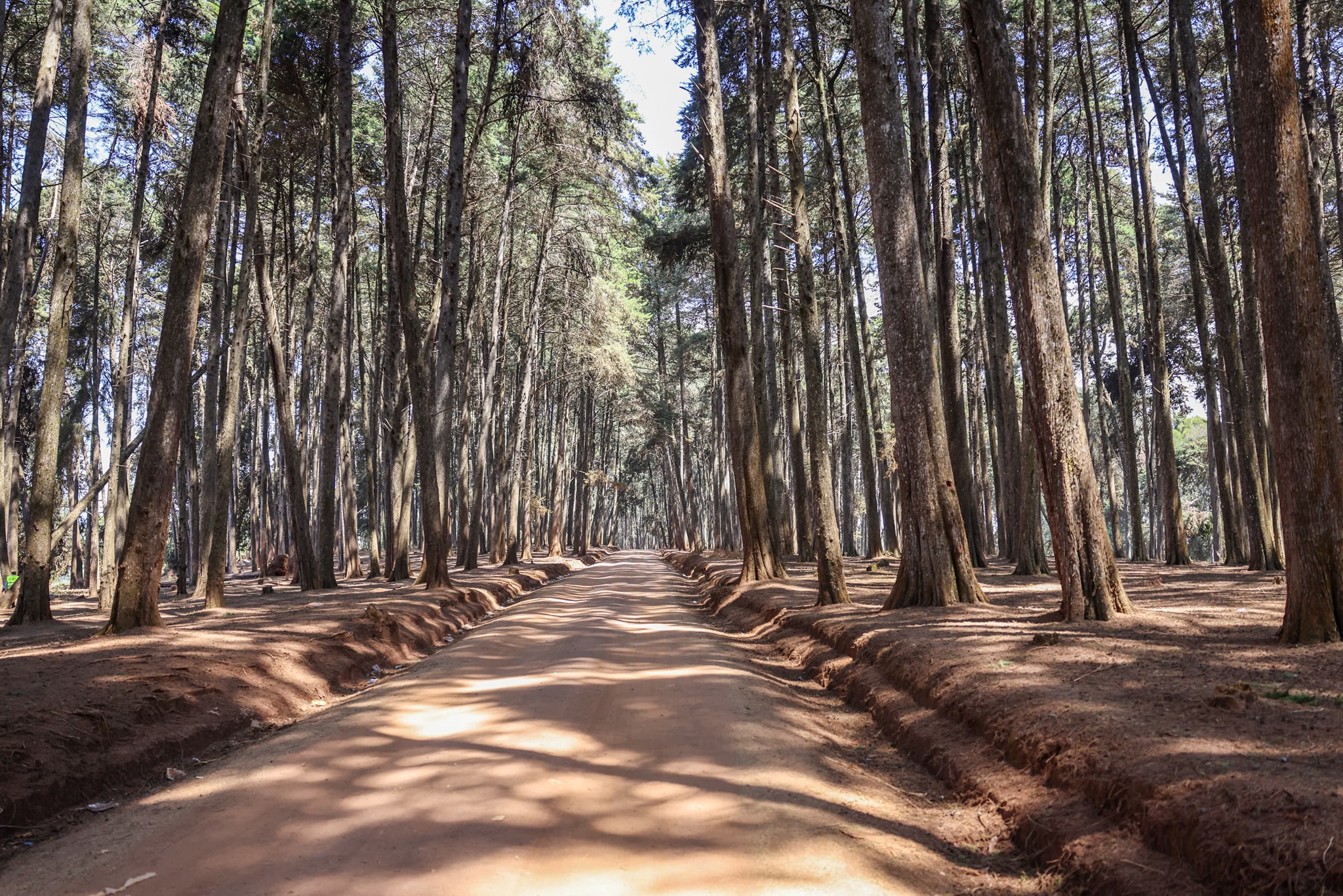 TOURISM DAY MARKED WITH SCENIC NATURE WALK IN MBOONI - Government of ...