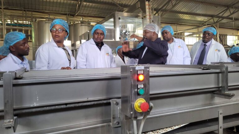 MURANG’A COUNTY TURNS TO MAKUENI FOR LESSONS IN MANGO VALUE ADDITION AT ...